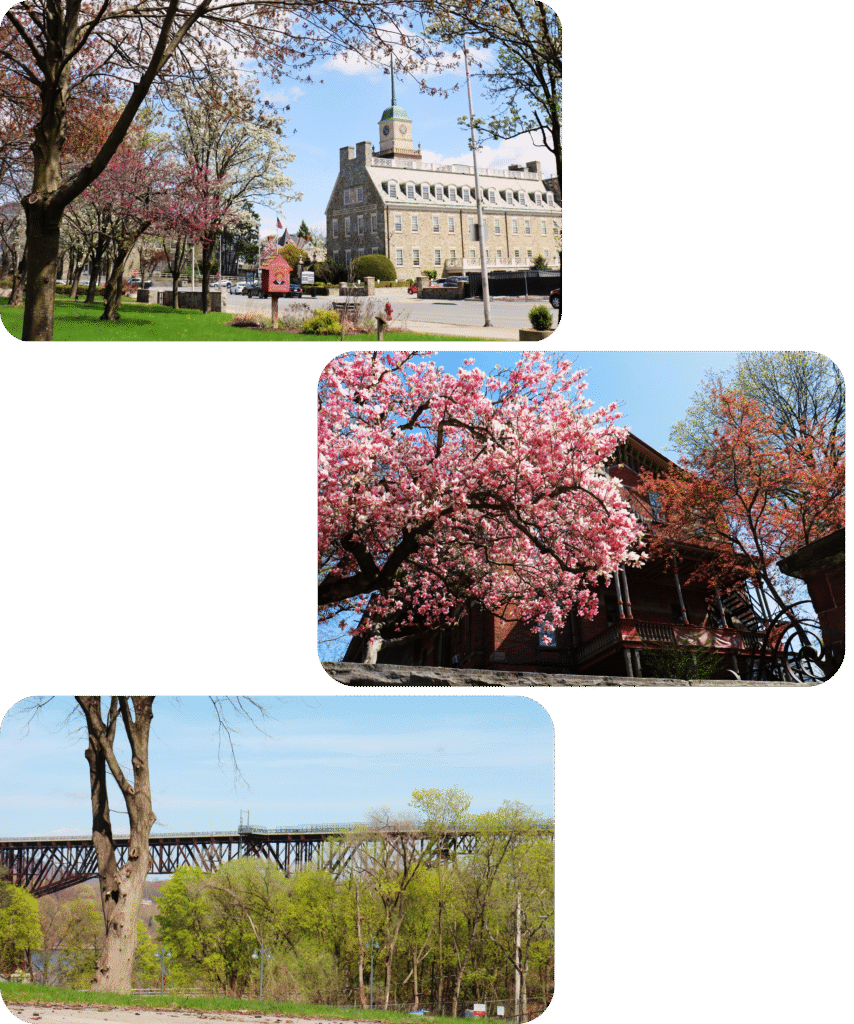 Poughkeepsie Downtown Revitalization Initiative – Downtown ...
